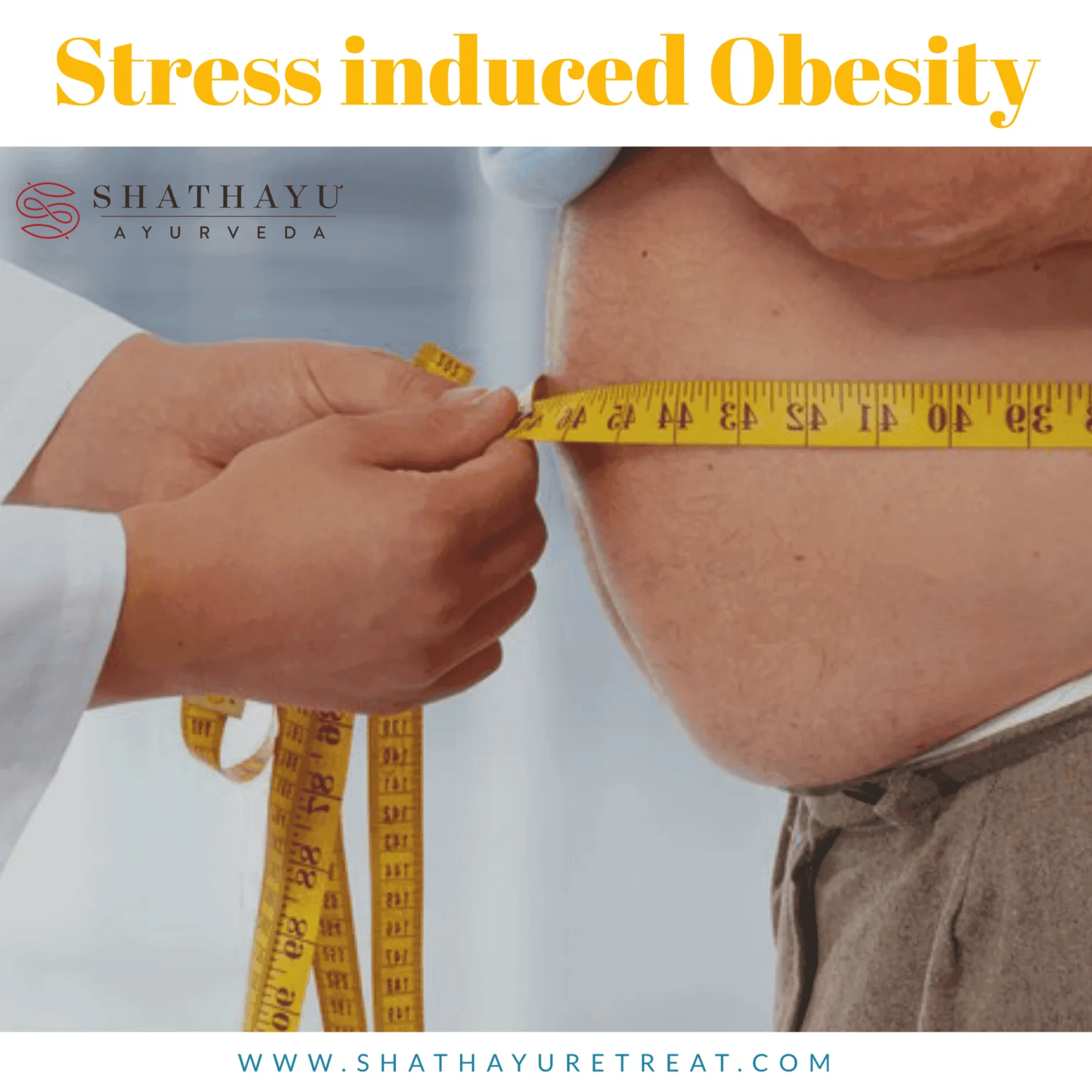 Breaking the Cycle: Managing Stress-Induced Obesity
